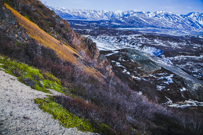 Polychrome Pass – Far North Light